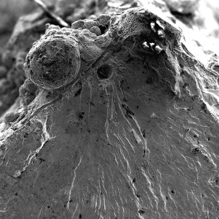 2023 DAGSI STUDENT RESEARCH PRESENTATIONS - SOCHE